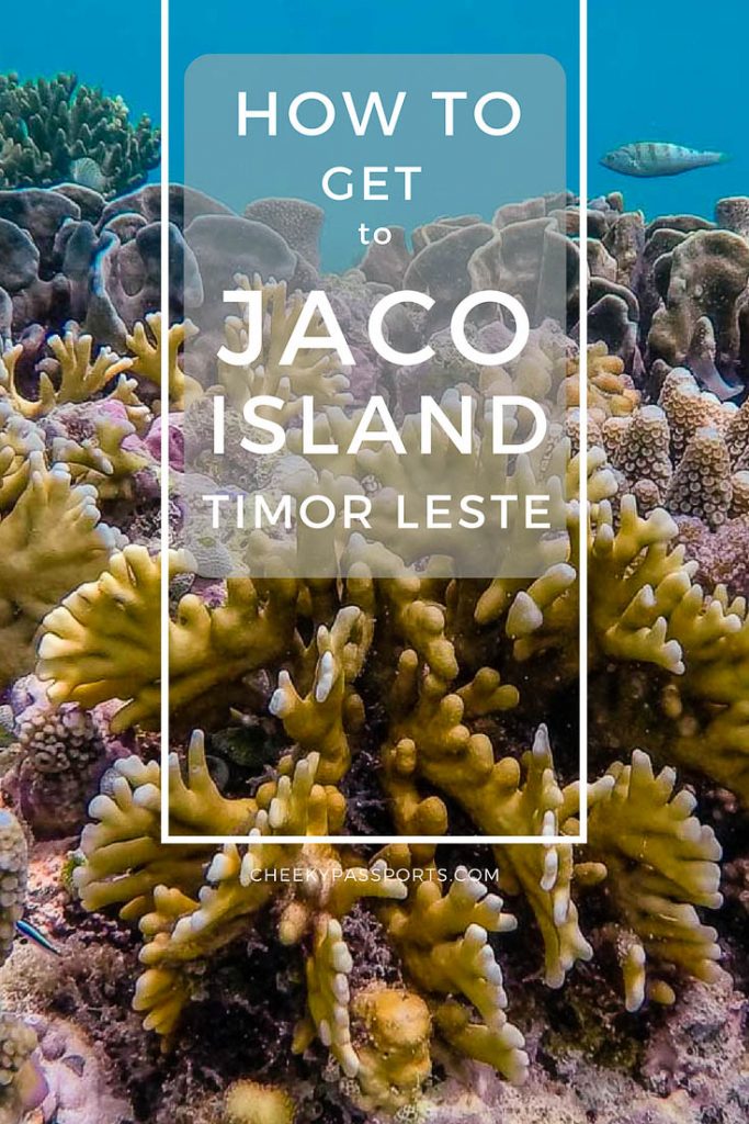 Cheeky Passports How to Get to Jaco Island in Timor Leste (East Timor ...