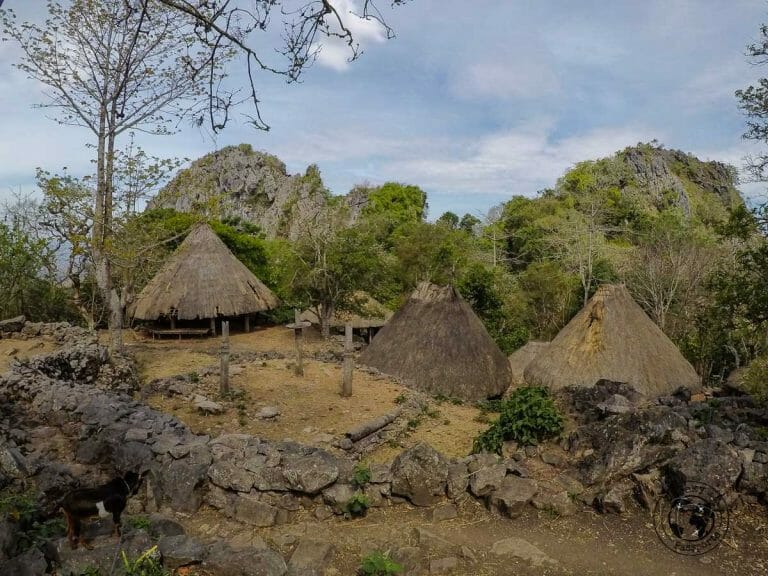 Cheeky Passports West Timor Travel, Indonesia - Indonesian Tribes and ...