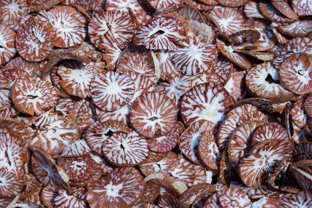 Cheeky Passports Exploring the Beaches in Dawei and the Dawei Peninsula