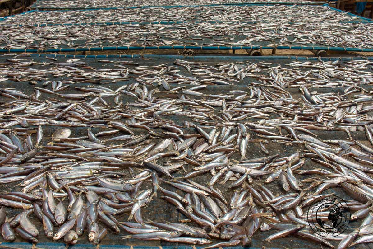 Exploring the Beaches in Dawei and the Dawei Peninsula - Cheeky ...